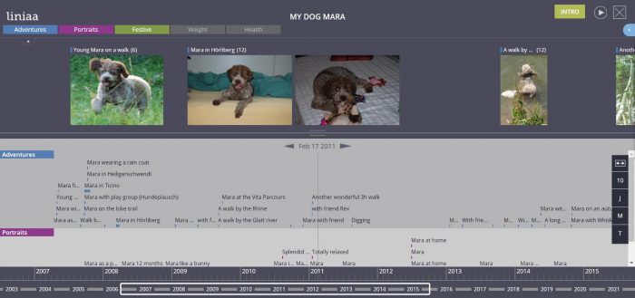 The 18 Best Timeline Makers for Businesses & Teams in 2023